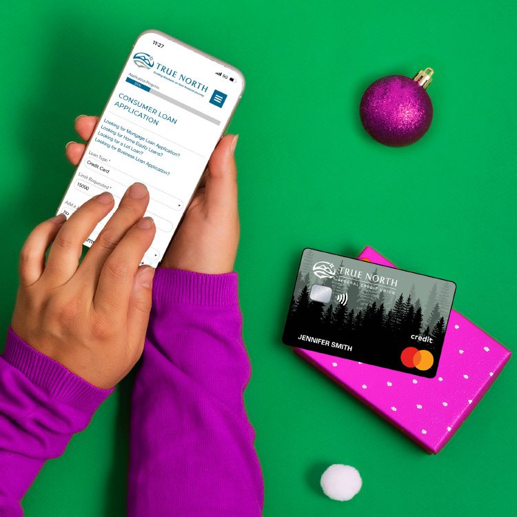 Checking, Mortgage Loans, Home Equity, Car Loans & More - True North ...